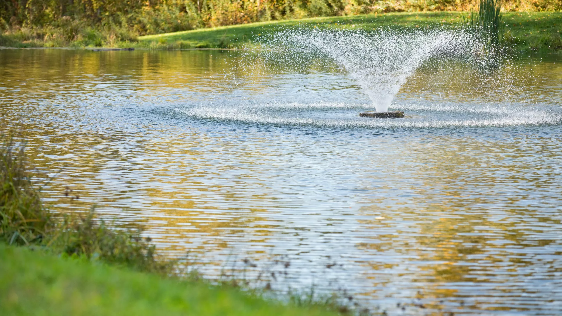 Jones Lake Management Partners with FishPro | Fort Point Capital